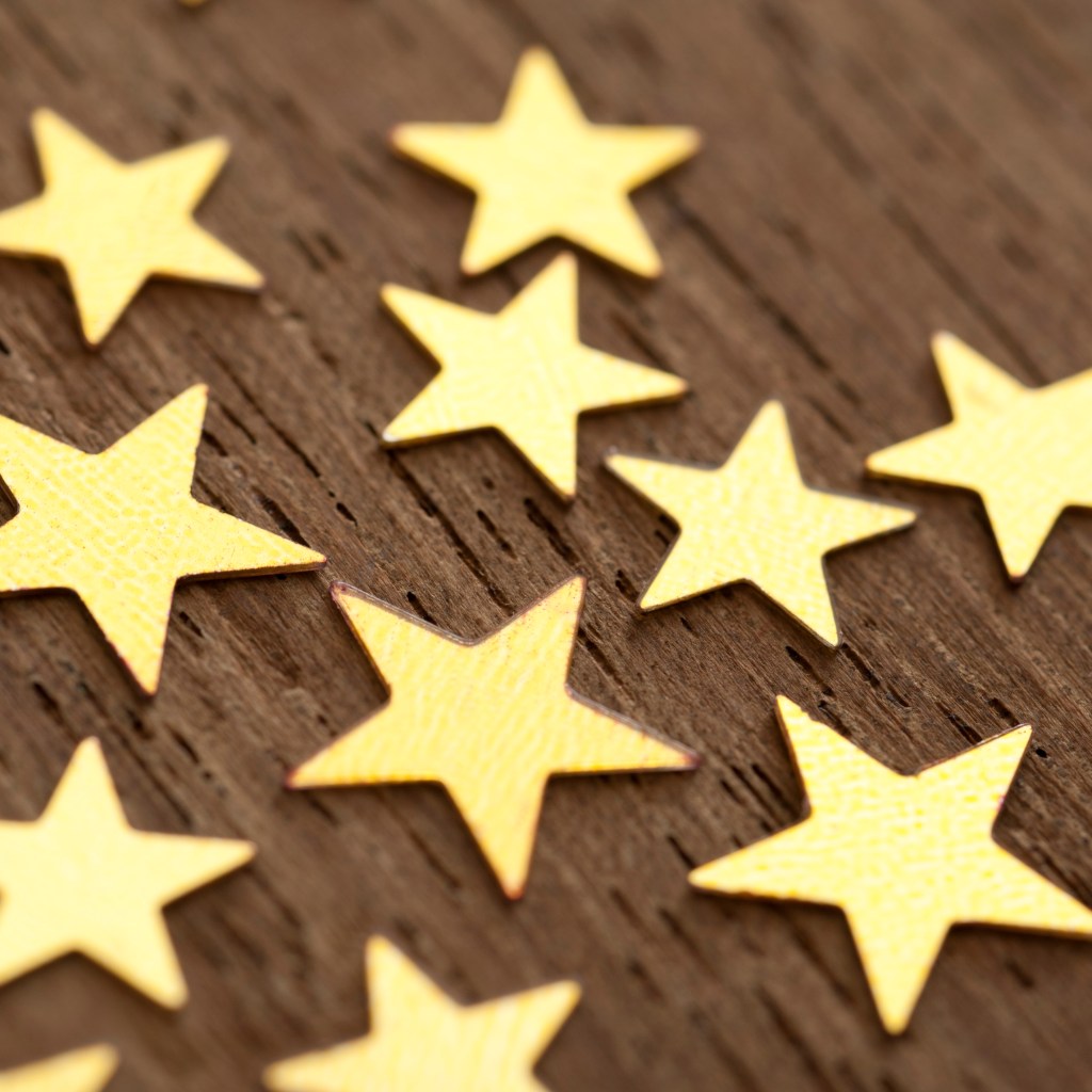 King County’s Ruth Woo Emerging Leaders Fellowship: Empowering tomorrow ...