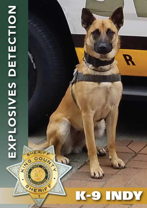 Sheriff’s Office K9 units on the world stage | Employee News