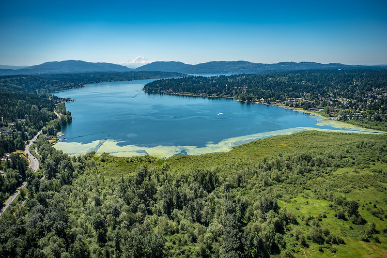 Progress from the foothills of the Cascades to the shorelines of Puget ...