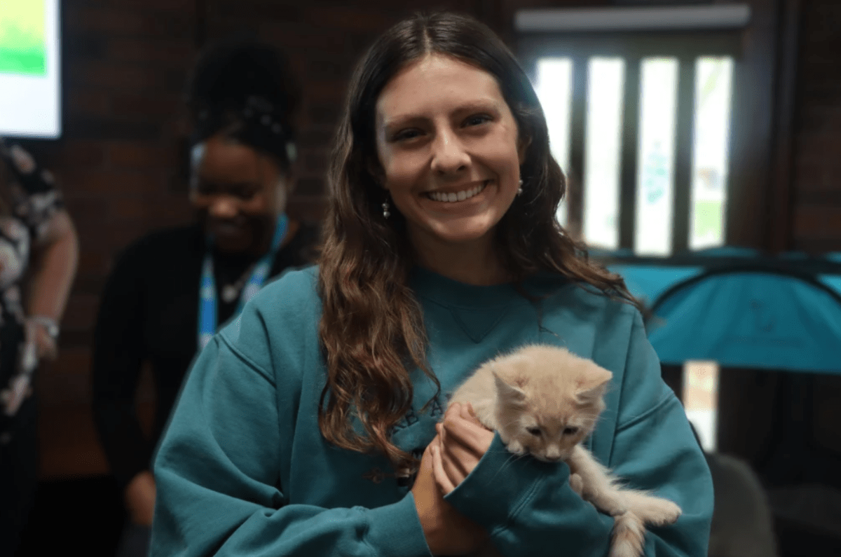 RASKC participates in Kent “Kitty Hall” Cat Adoption Event | Employee News