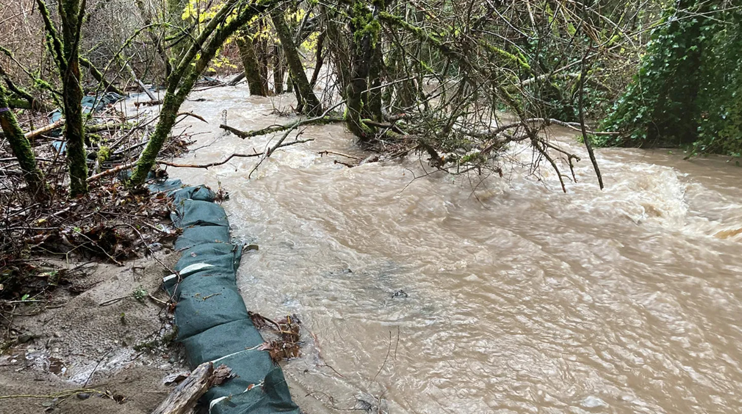 Parks and Flood Recovery | Employee News