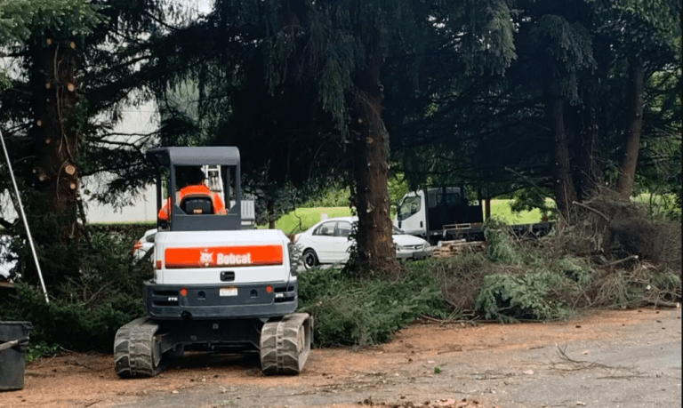 Landscaping takes shape at new shelter site | Employee News
